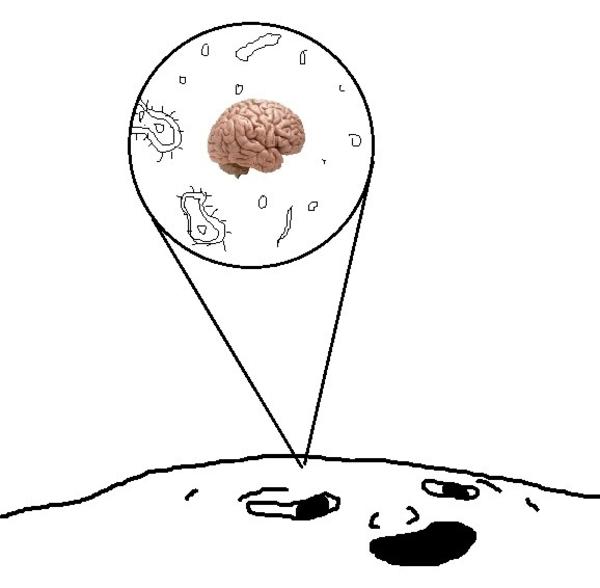 Micro brain | Brainlet | Know Your Meme