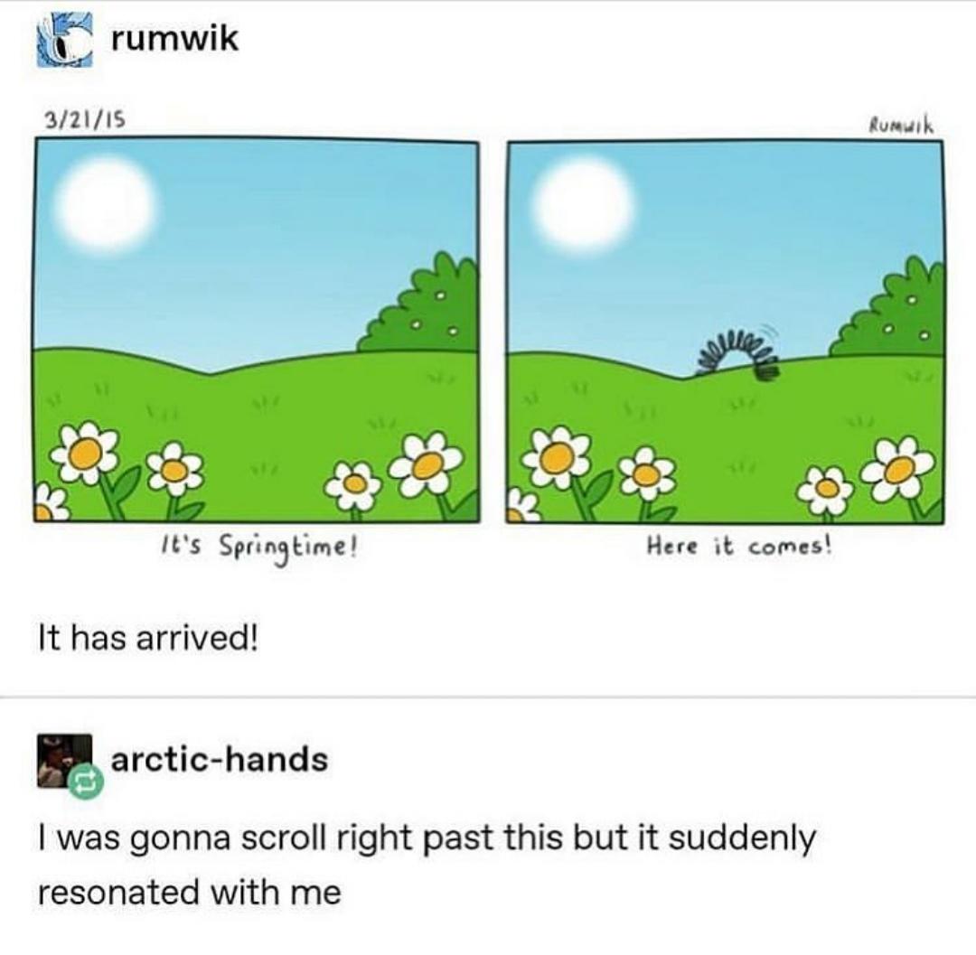 Spring has sprung | Tumblr | Know Your Meme