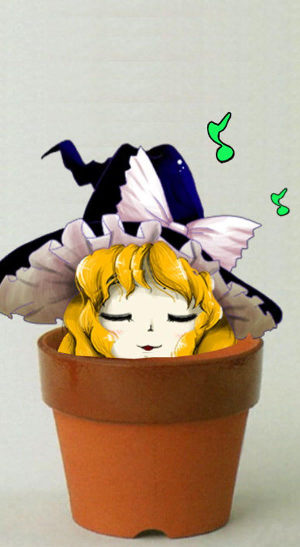potted Marisa | Marisaface / Kanmarisa | Know Your Meme