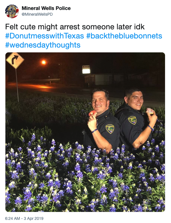 Donuts | Back The Bluebonnets Challenge | Know Your Meme