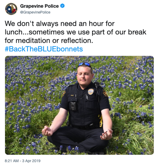 Meditation | Back The Bluebonnets Challenge | Know Your Meme