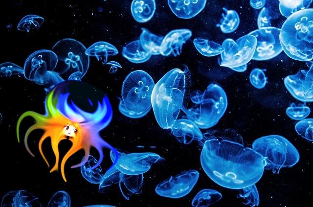 Jellymarisa | Marisaface / Kanmarisa | Know Your Meme