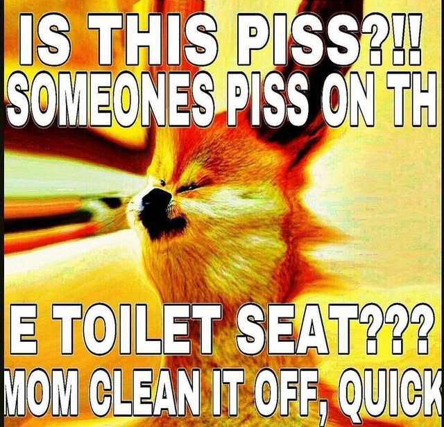 CLEAN IT OFF | Ironic Doge Memes | Know Your Meme