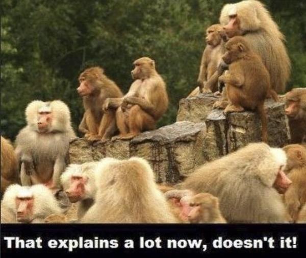 Make sense now? | Cropped Image Macros | Know Your Meme