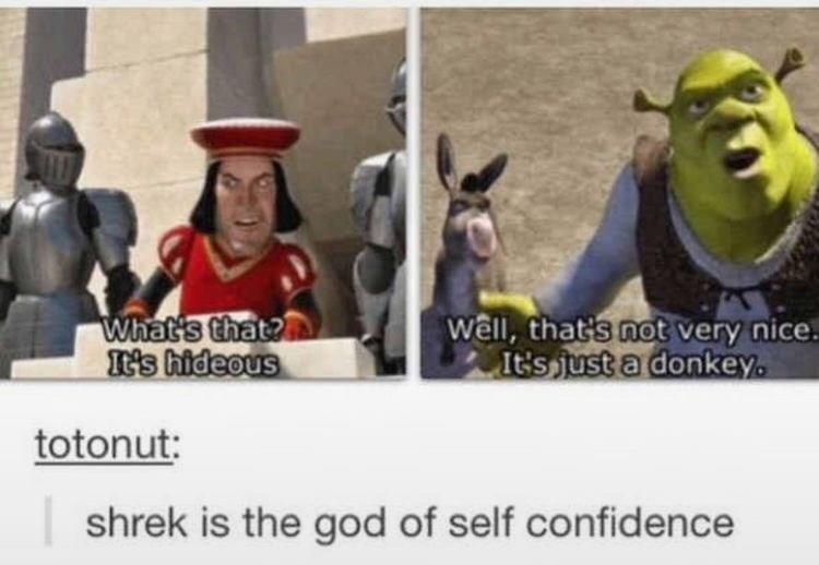Shrek is the God of Self-Confidence | Shrek | Know Your Meme