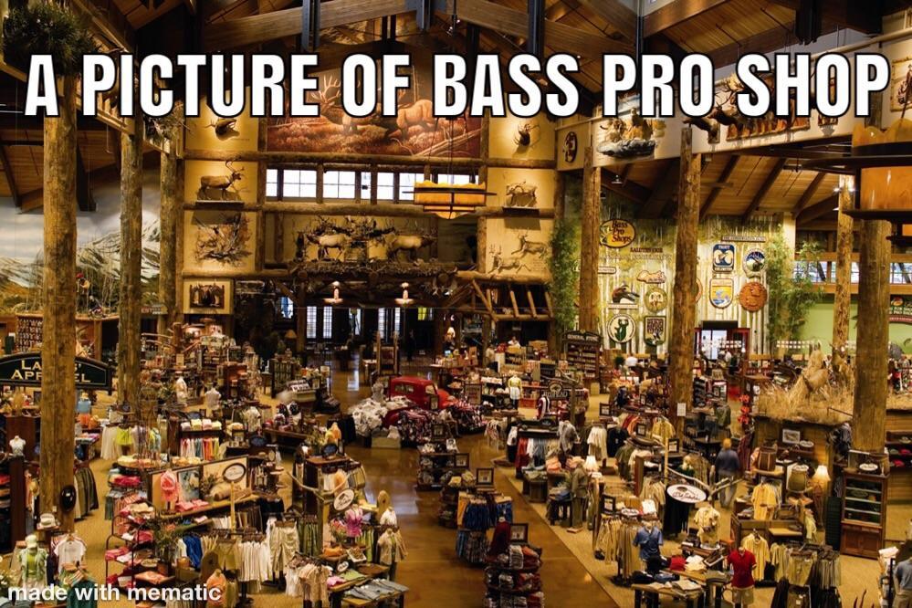 They’ve got a nice setup goin don’t ya think? | Ironic Fishing Memes ...