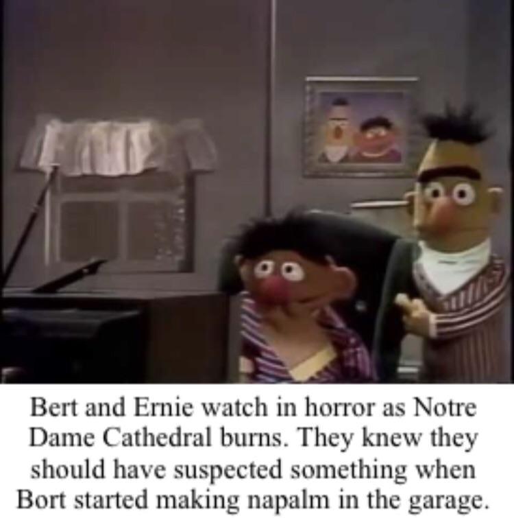 They knew they should have suspected something when Bort started making ...