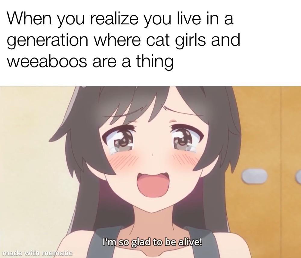 Ishigami’s archenemy | Wataten!: An Angel Flew Down to Me | Know Your Meme
