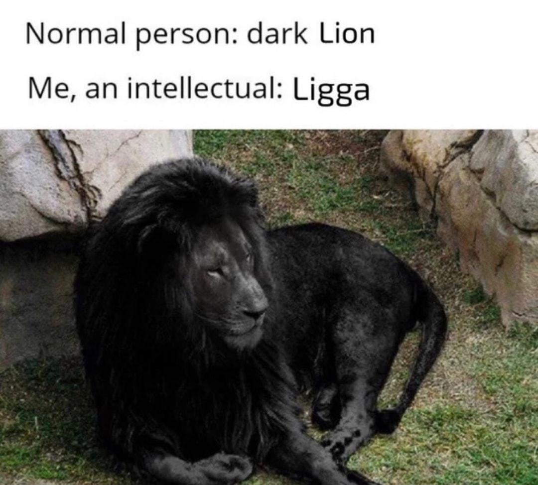 Ligga | Knigga | Know Your Meme