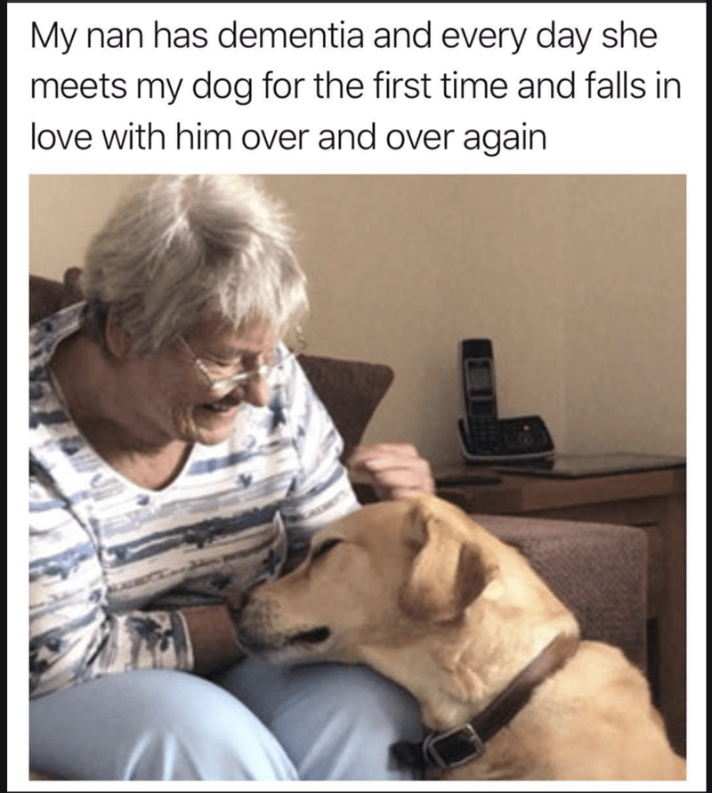 Grandma with dementia meets a dog | Dogs | Know Your Meme