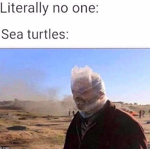 Mimas | Nobody: | Know Your Meme