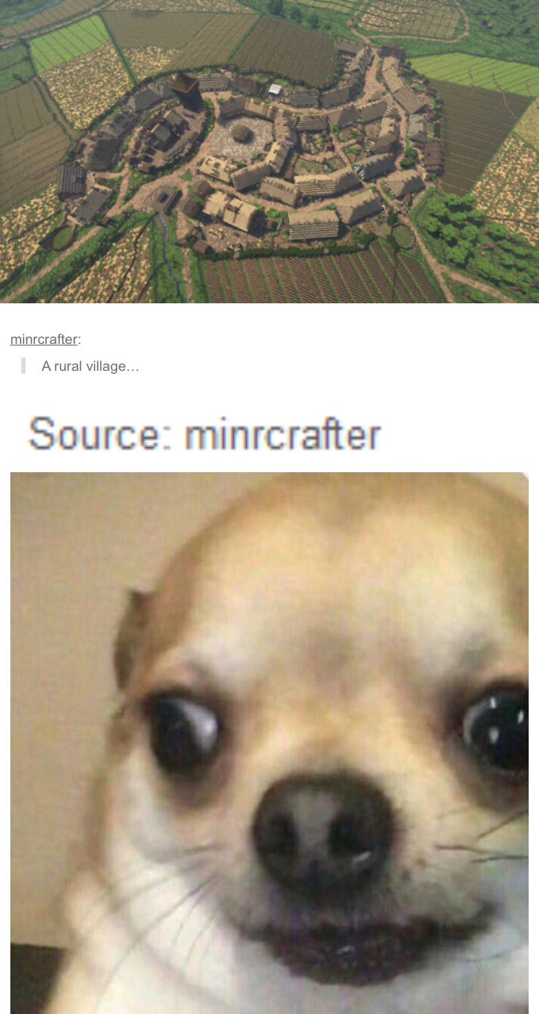 An ordinary aerial shot of a rural village | Minecraft | Know Your Meme