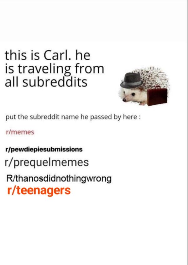 Say hi Carl | Carl the Hedgehog | Know Your Meme