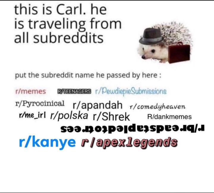 This is Carl | Carl the Hedgehog | Know Your Meme