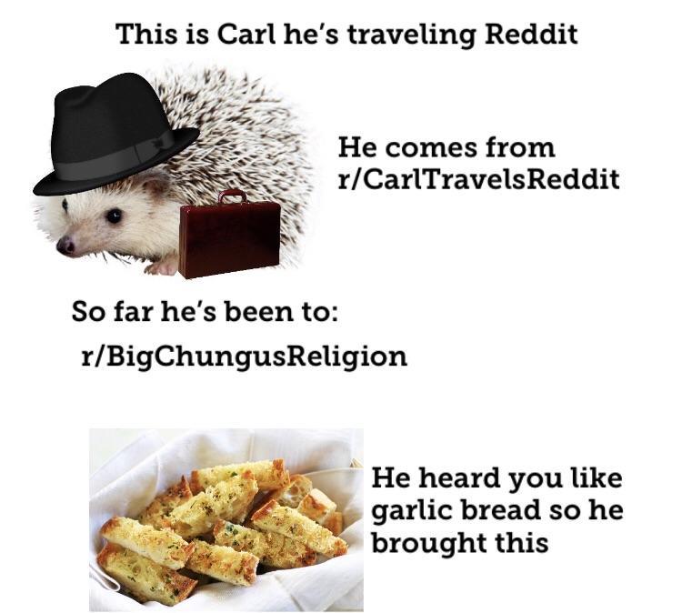 Say hi to Carl | Carl the Hedgehog | Know Your Meme