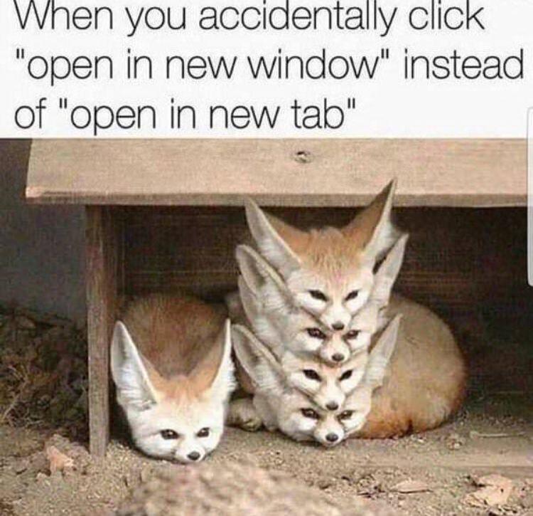 Cute Stack | Foxes | Know Your Meme