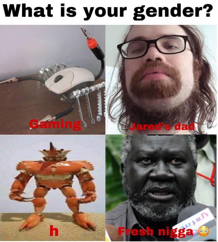 What is your gender? | Choose Your Class | Know Your Meme