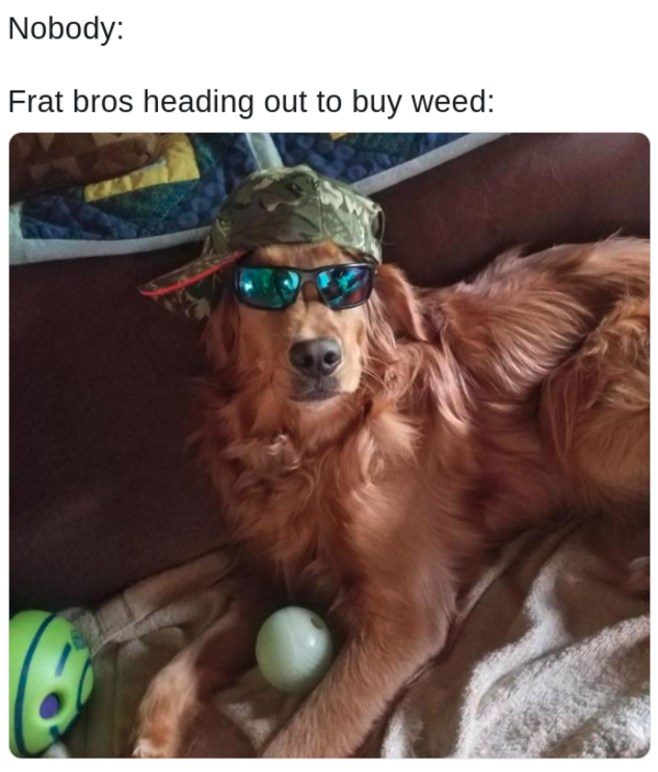 Ruff week bro, can you hook it up | Nobody: | Know Your Meme