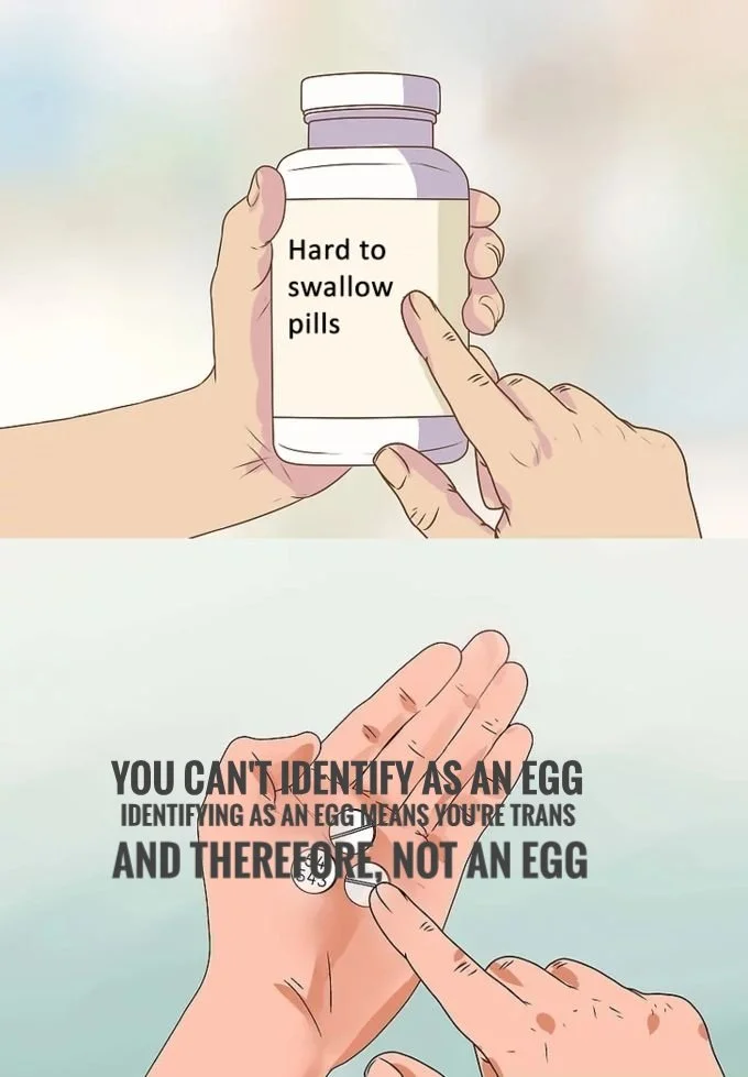 You can't identify as an egg | Egg (Transgender) | Know Your Meme