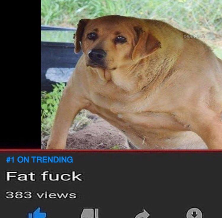 Nooooooooo | Wide Dog | Know Your Meme