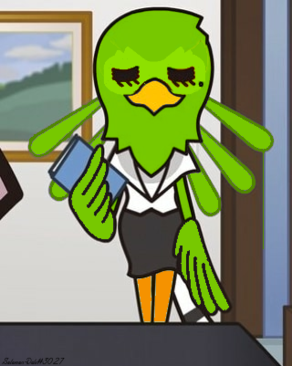 Duolingo Washimi | Aggretsuko | Know Your Meme