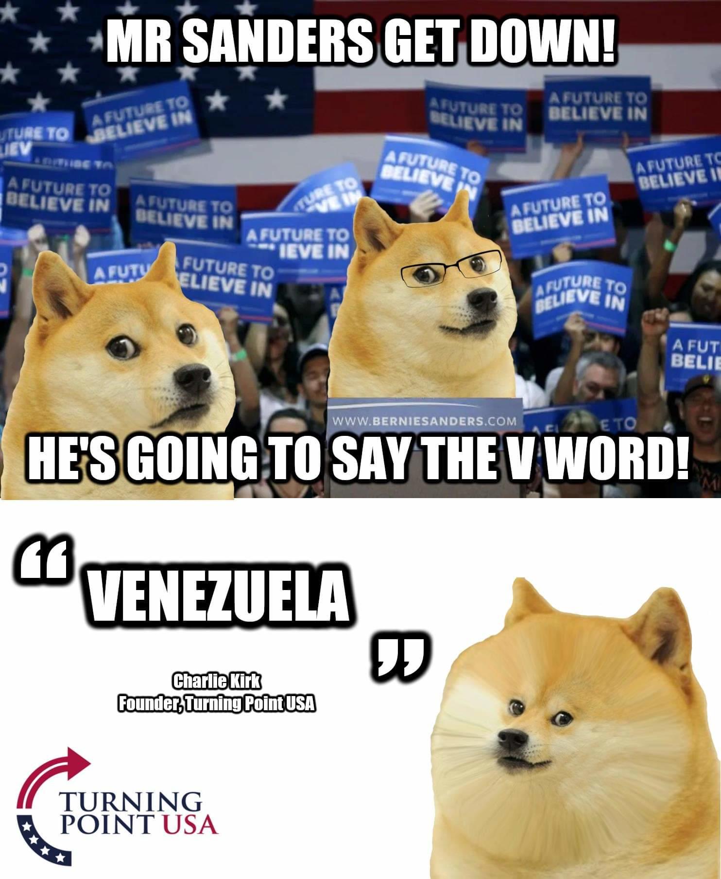 The V Word | Ironic Doge Memes | Know Your Meme