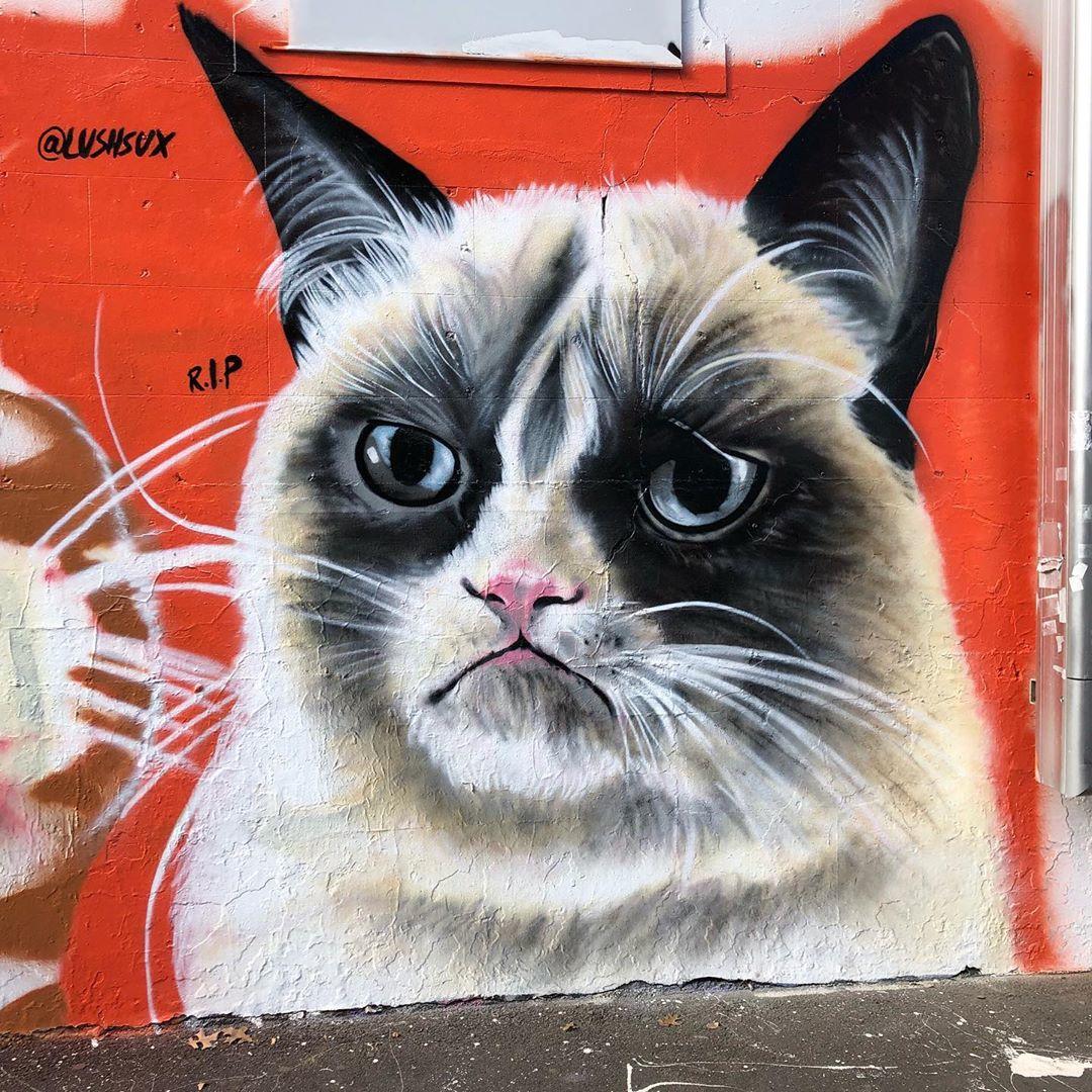 Grumpy Cat Tribute by Lushsux | Grumpy Cat | Know Your Meme