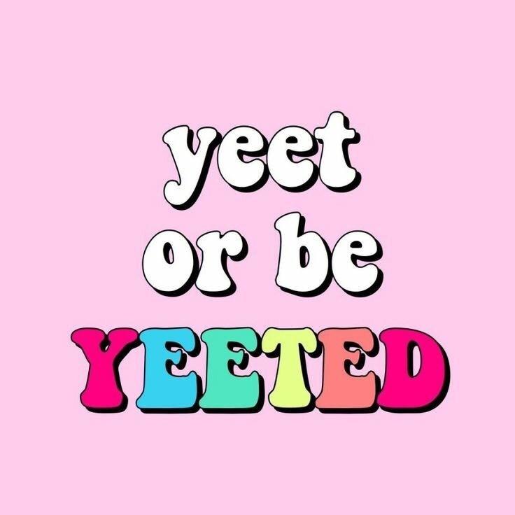 Life Motto | Yeet | Know Your Meme