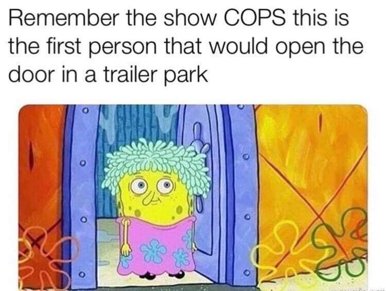 cops tv show | SpongeBob SquarePants | Know Your Meme