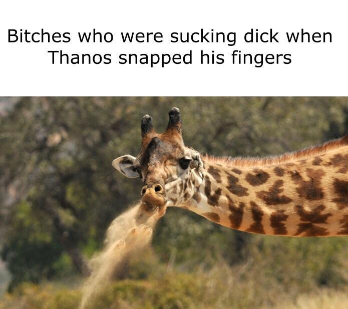 Oopsieee | Disintegration Effect / I Don't Feel So Good | Know Your Meme