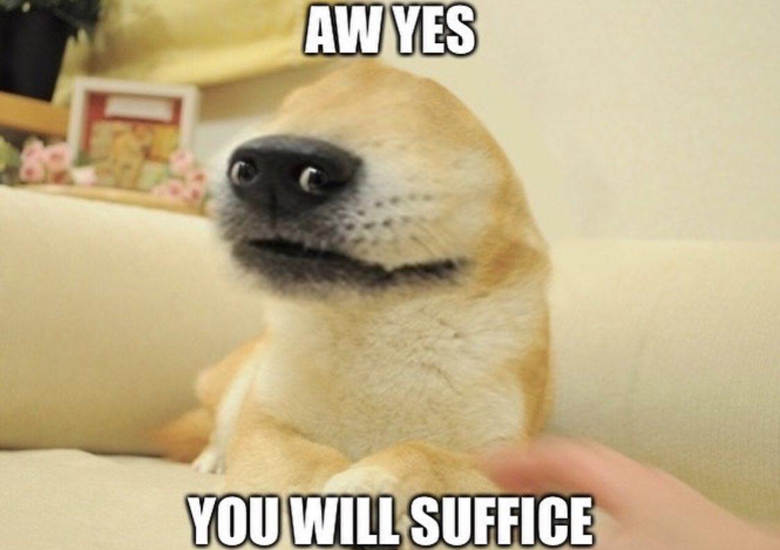 You will suffice | Ironic Doge Memes | Know Your Meme