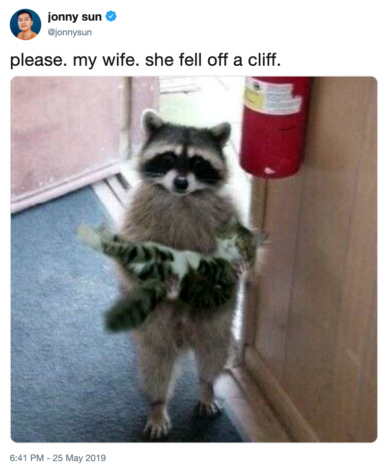 Raccoon | Cliff Wife | Know Your Meme