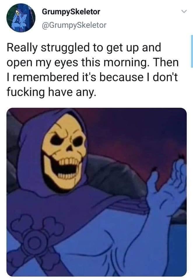 That's cheeky coming from a guy with no cheeks | Skeletor | Know Your Meme