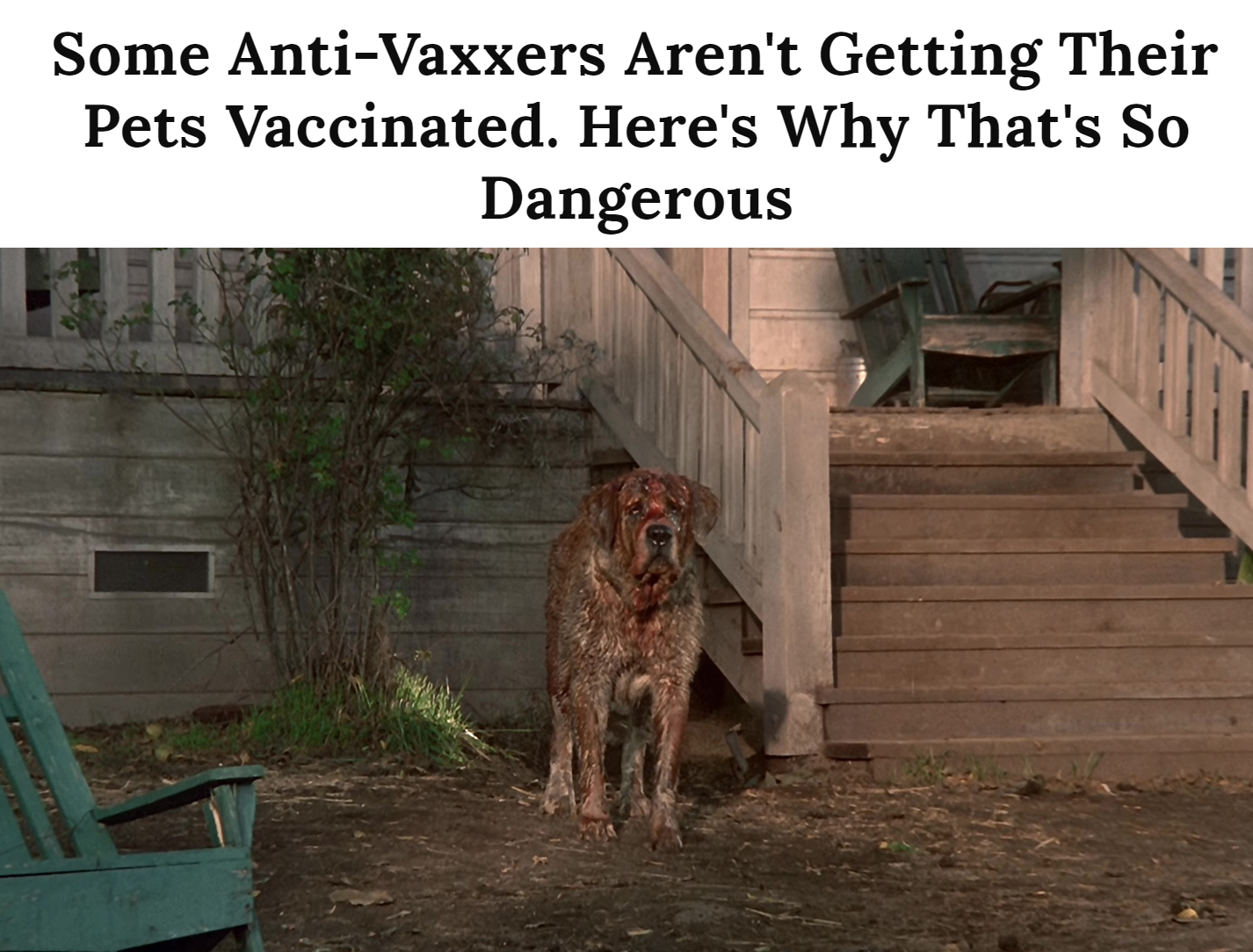 Cujo | Anti-Vaccination Movement | Know Your Meme
