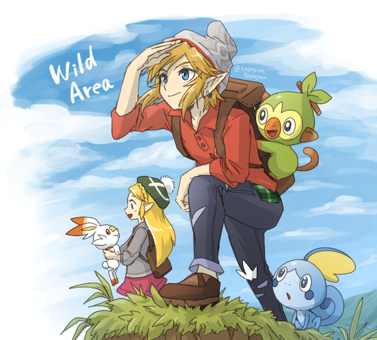 Wild Area | Pokémon Sword and Shield | Know Your Meme