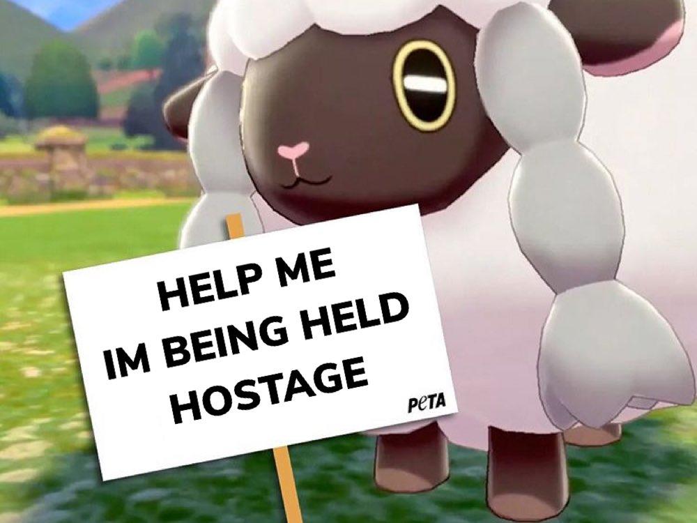 Wooloo is held captive guys! | Wooloo | Know Your Meme