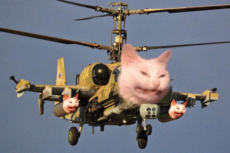 Kot Kopter | Kot | Know Your Meme