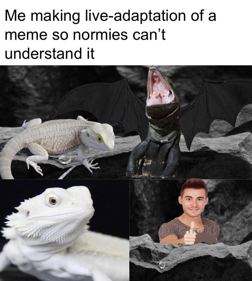 Ya’ll surely understand it, right? | Toothless Presents Himself | Know ...