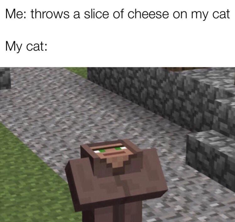 All the damn time | Cheese Slap / Cheese Challenge | Know Your Meme