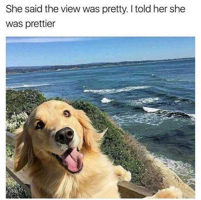 She said the view was pretty | Wholesome Memes | Know Your Meme