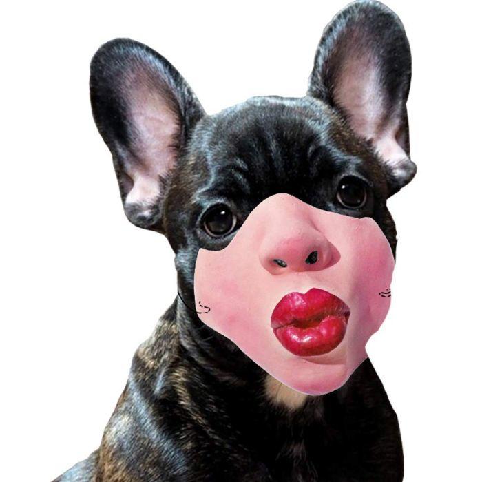 Dog with lipstick and big ears | AXAYINC Dog Human Masks | Know Your Meme