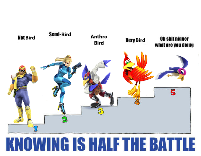 Bird Scale | Super Smash Brothers Ultimate | Know Your Meme