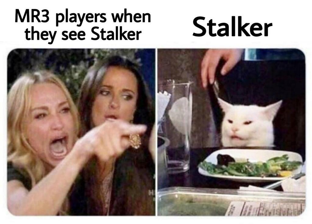 mr3 players when they see stalker | Woman Yelling at a Cat | Know Your Meme