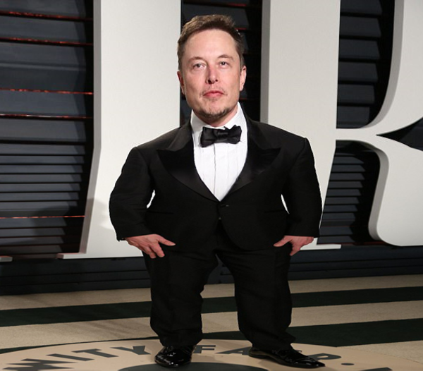 Mini Elon Musk - Best quality template | Elon Musk | Know Your Meme