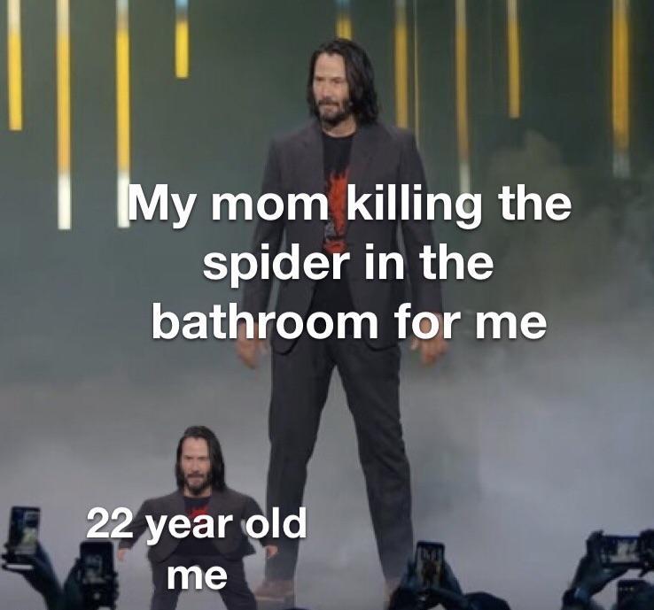 Spider | Mini Keanu Reeves | Know Your Meme