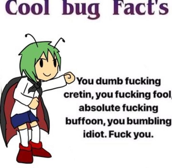 Wriggle says | Cool Bug Fact's | Know Your Meme