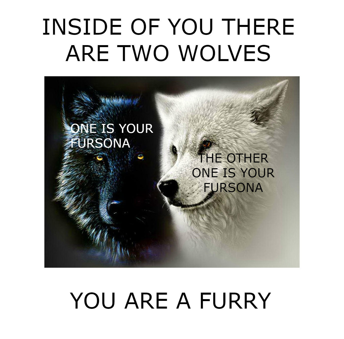 You Can t Escape It Inside You There Are Two Wolves Know Your Meme