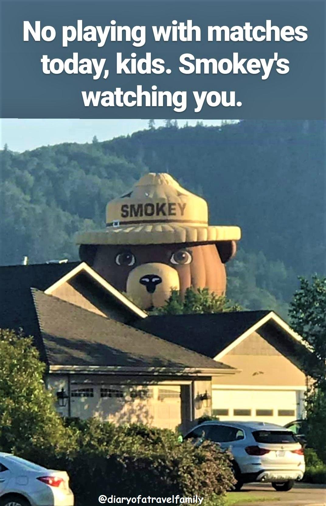 He's. Always. Watching | Smokey The Bear | Know Your Meme