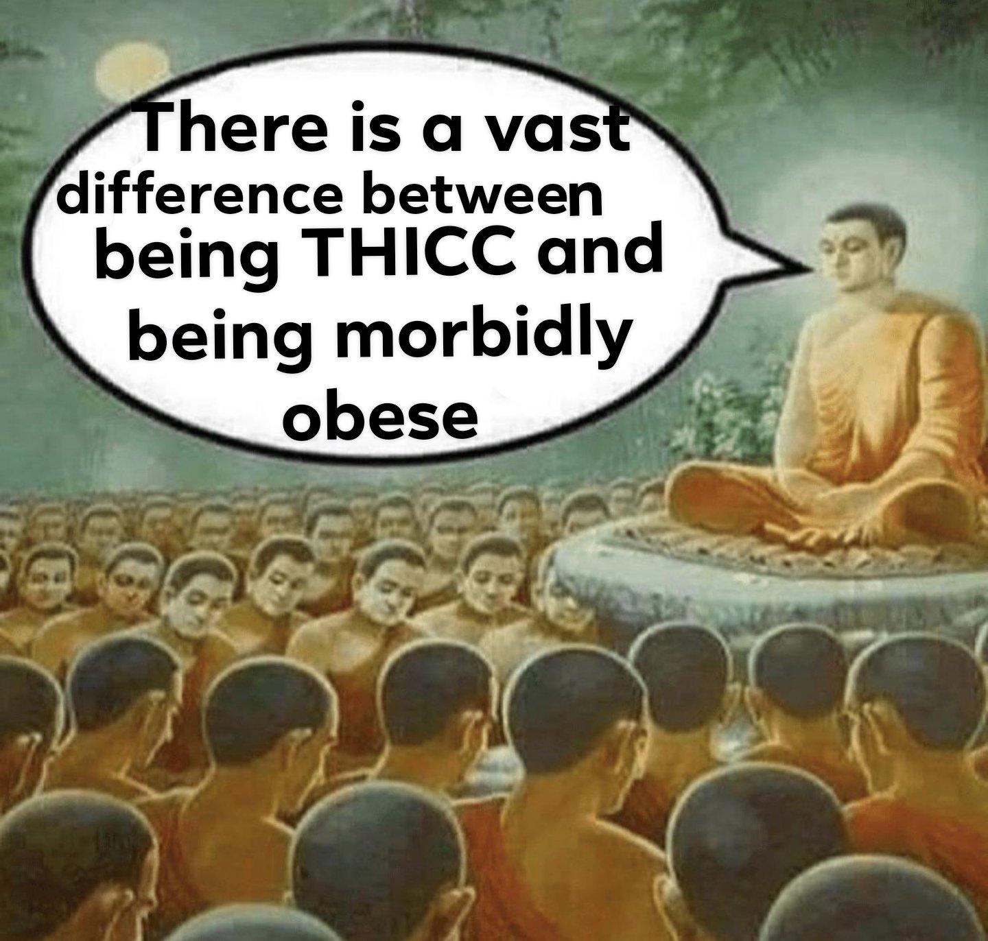 There is a vast difference between being THICC and being morbidly obese ...