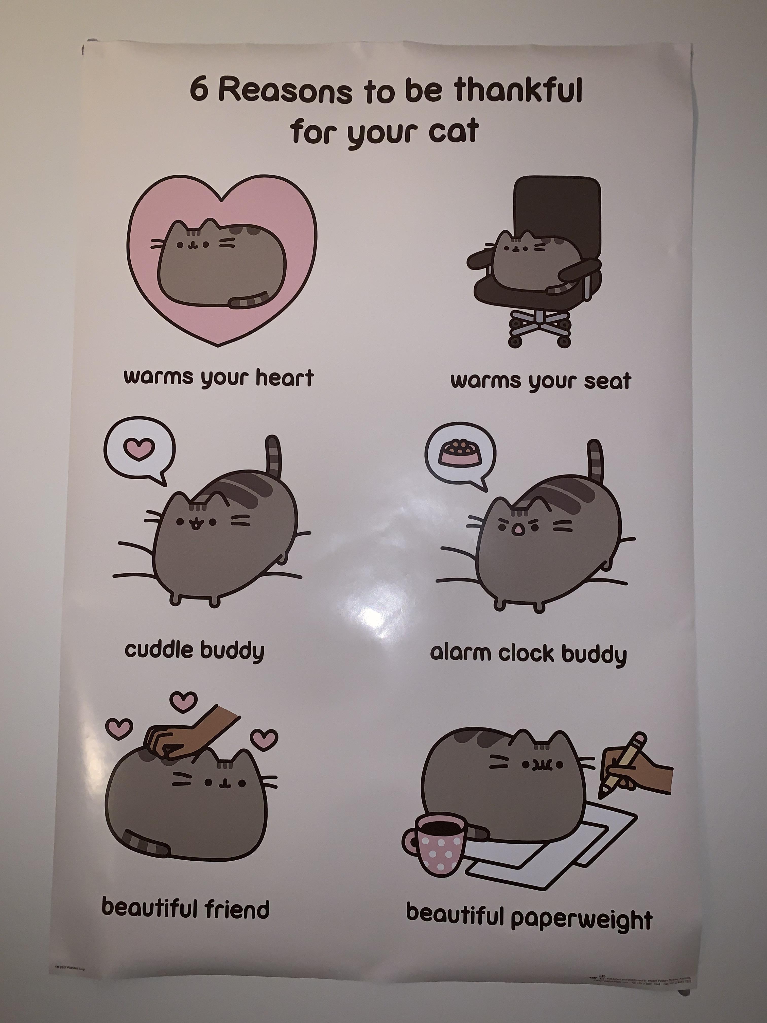 My sister got me this pusheen poster! | r/wholesomememes | Wholesome ...